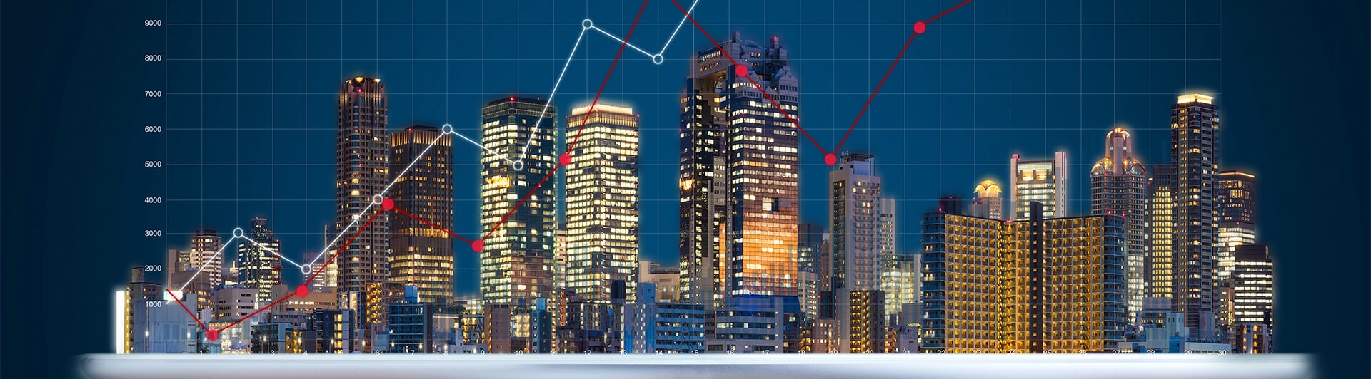 Portfolio Management – Fort Capital Limited